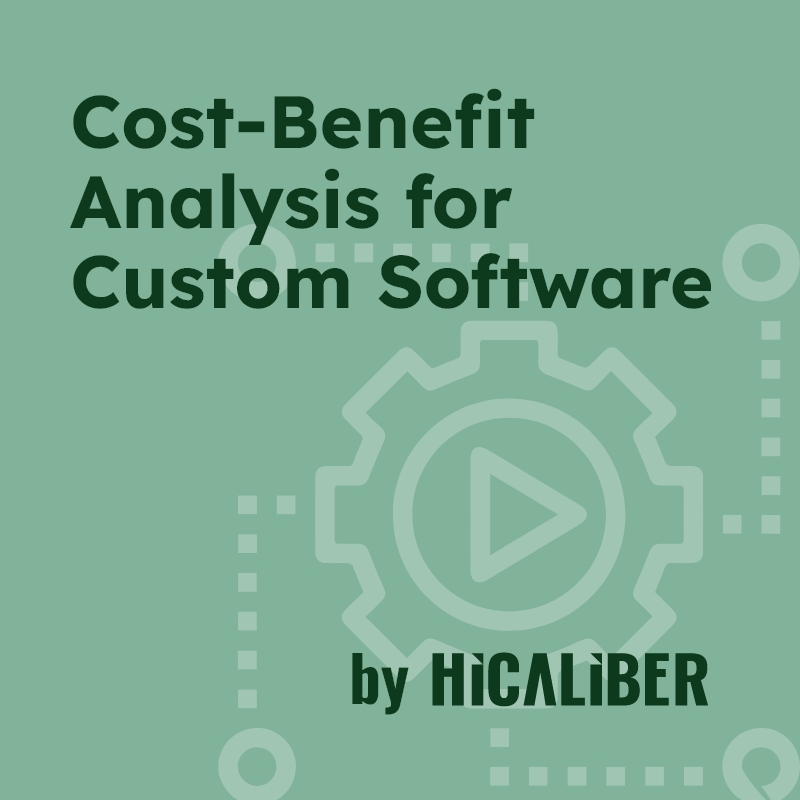 Cost-Benefit Analysis for Custom Software - Hicaliber