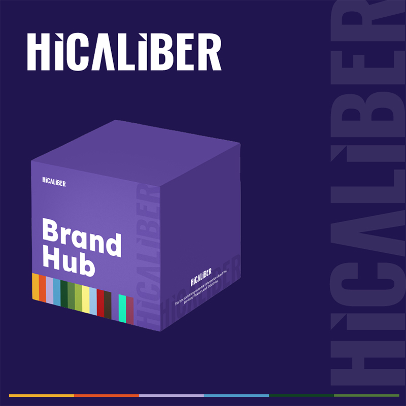 Software and Website Developers Australia - Hicaliber